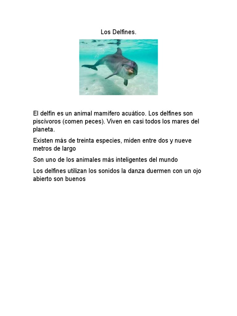 Los Delfines | PDF