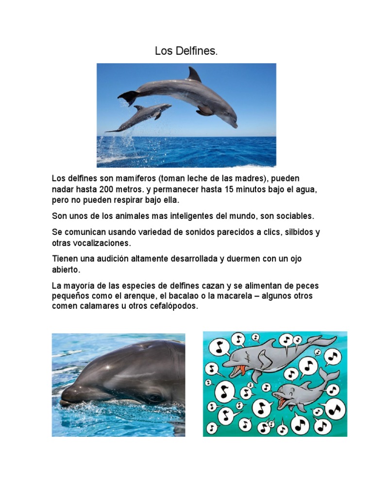 Los Delfines | PDF