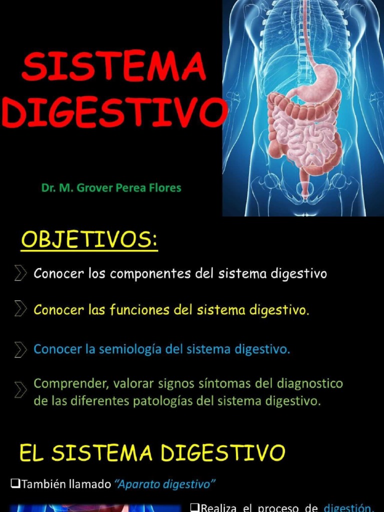 Aparato Digestivo - PDF | PDF