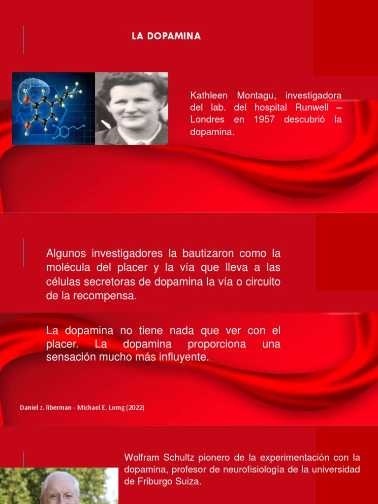 DOPAMINA | PDF | Dopamina | Amor