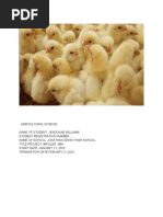 FNH Sba 1 Time Plan | PDF | Salad | Garlic