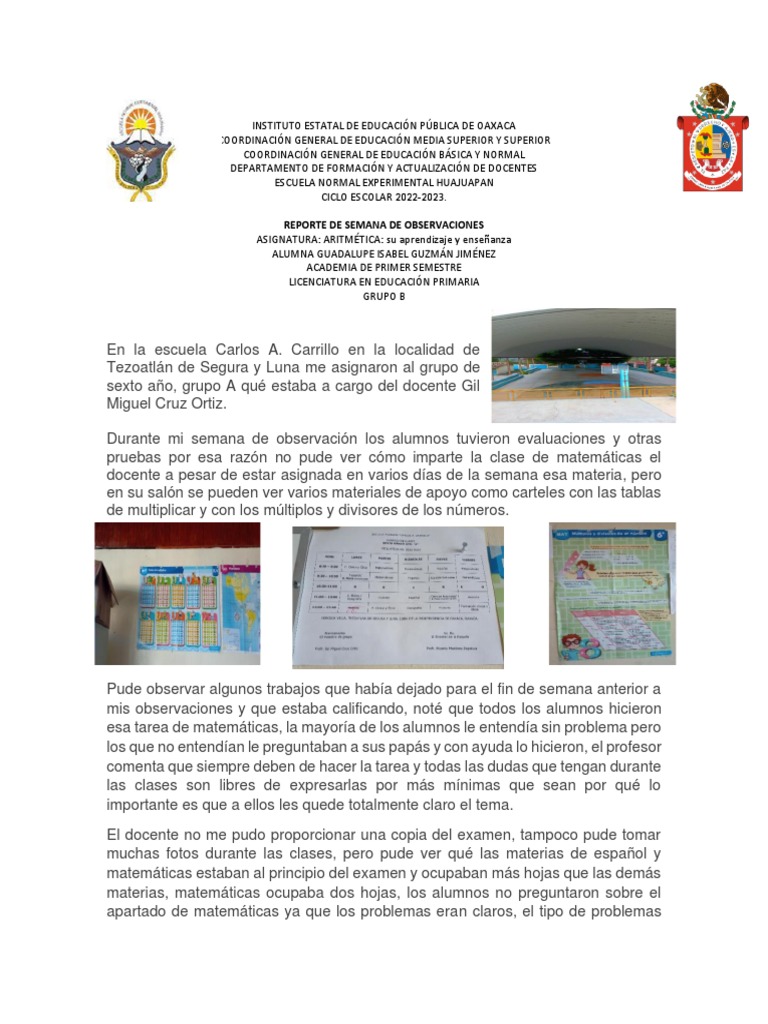 Reporte de Observación en Aritmética | PDF | Educación primaria | Maestros