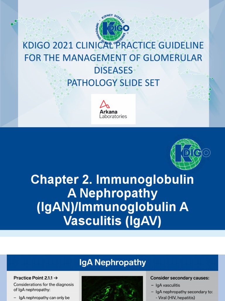 KDIGO 2021 Glomerular Disease Guide | PDF | Wellness | Science & Mathematics