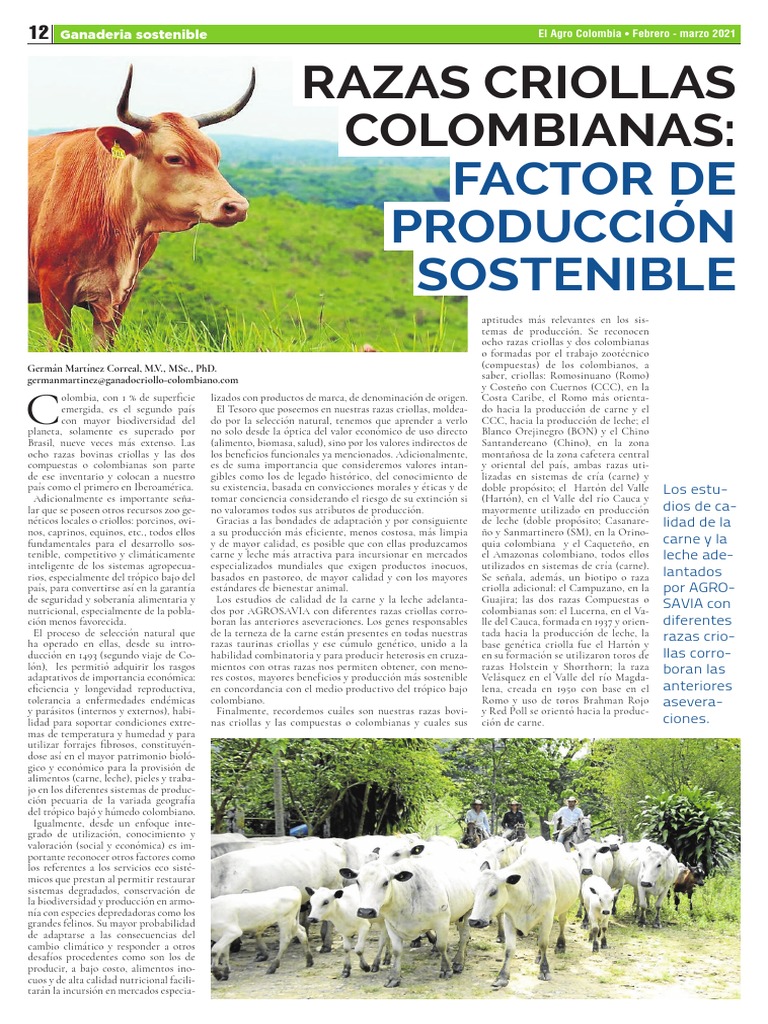 Razas Criollas | PDF | Carne | Vacas