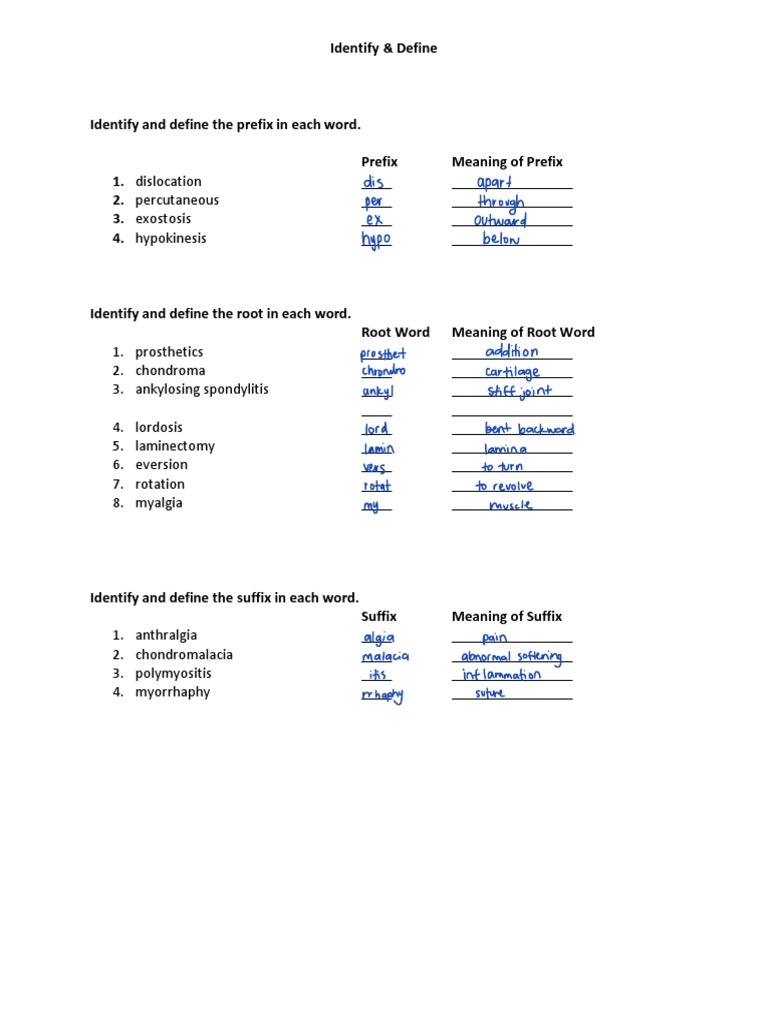 Module 4 | PDF | Skeleton | Musculoskeletal System