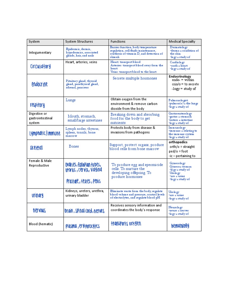 Module 2 | PDF | Human Body | Anatomical Terms Of Location