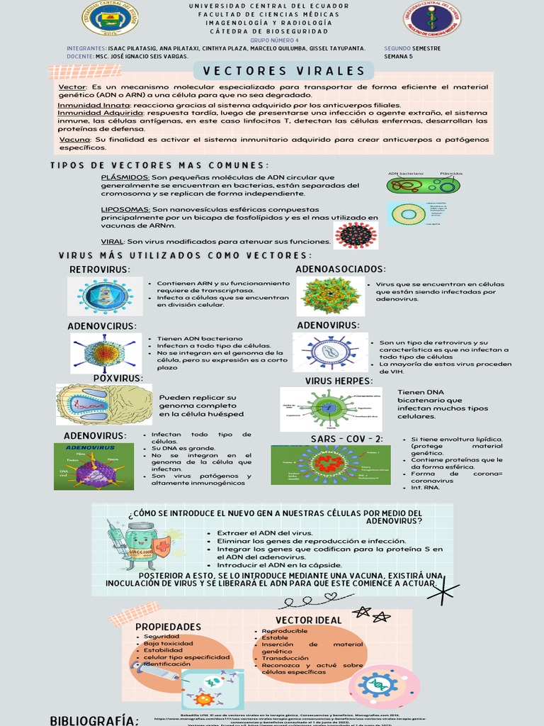 Vectores Virales-Infografía | PDF | Virus | Adenoviridae