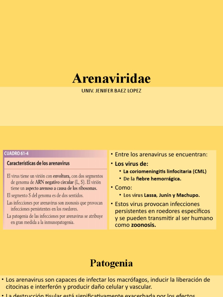 Arenaviridae JEN 2023 | PDF | Infección | Virus