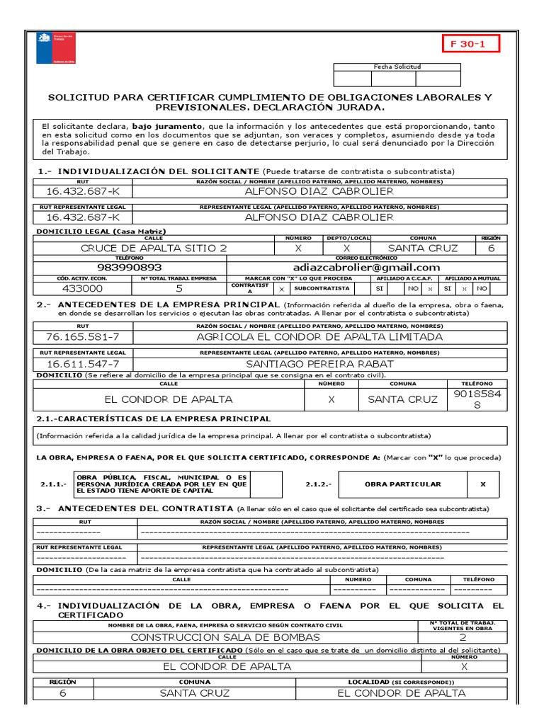 FORMULARIO F30-1 | PDF