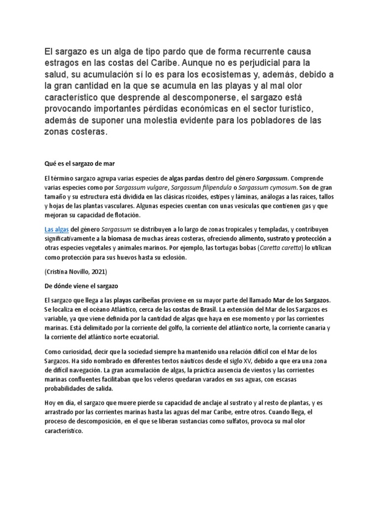 Investigacion Sargazo | PDF | Naturaleza | Ciencias de la Tierra