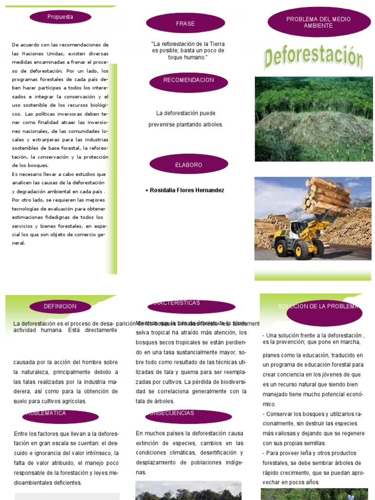 Triptico-Deforestacion 2 | PDF | Deforestación | Los bosques