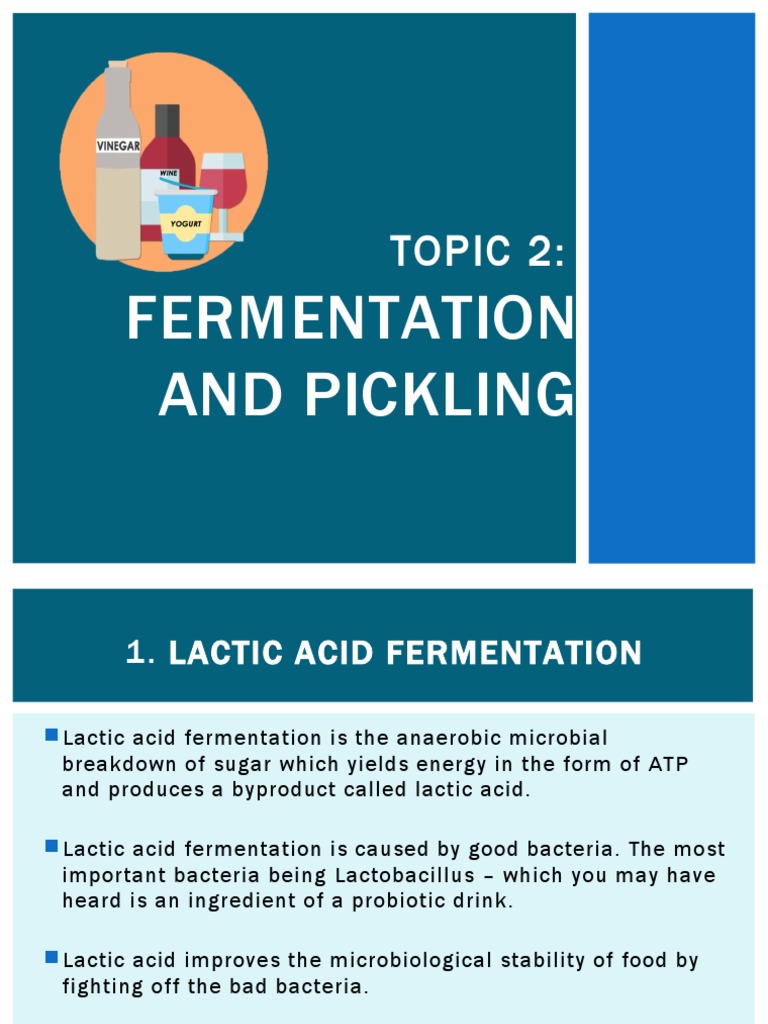 Fermentation & Pickling Basics | PDF | Cooking, Food & Wine | Science & Mathematics