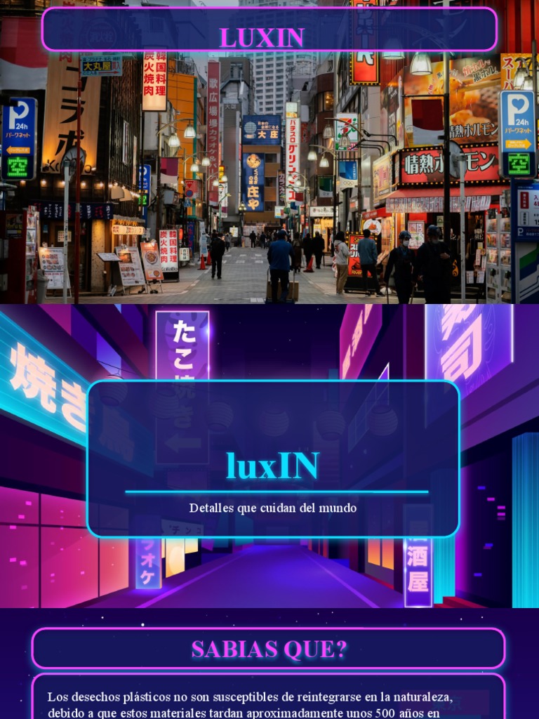 Proyecto Luxin | PDF | Hogar, jardinería y bricolaje