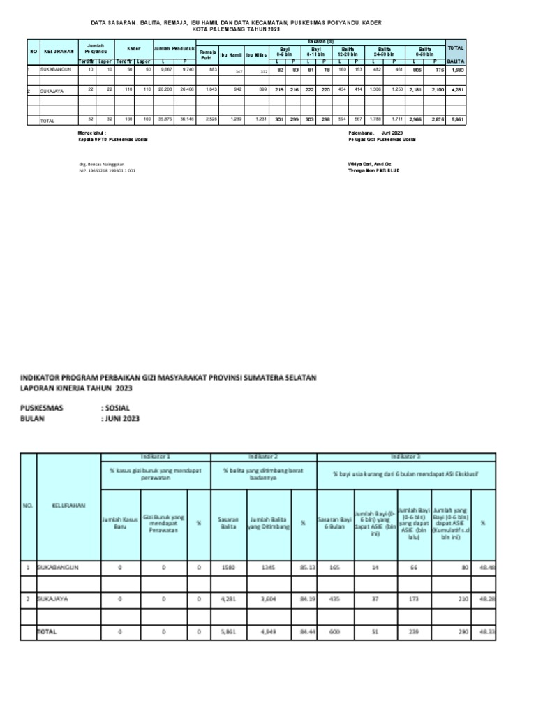 Laporan Gizi Bulan Juni Puskesmas Sosial | PDF