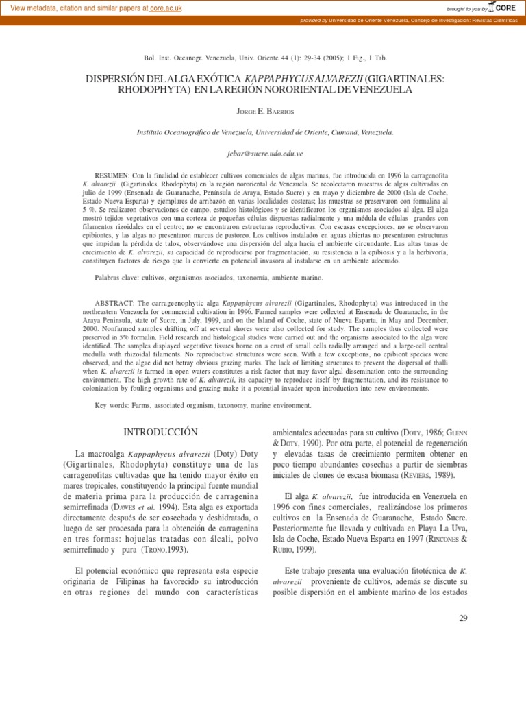 Crecimiento de Eucheuma Isiforme | PDF | Arrecife de coral | Venezuela