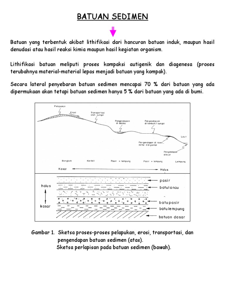 Batuan Sedimen | PDF