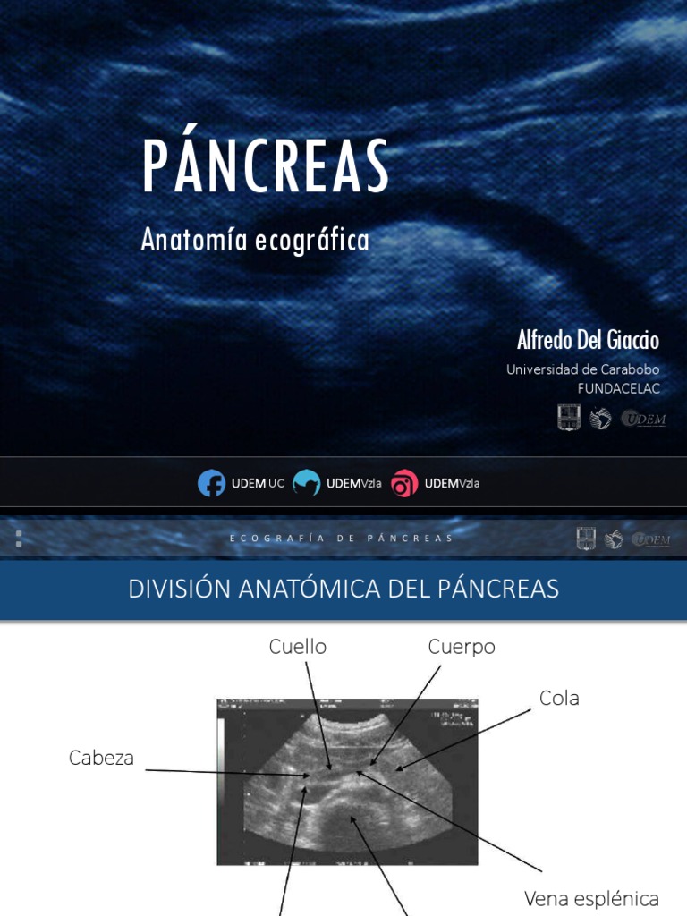 Pancreas Normal | PDF | Páncreas | Medicina CLINICA
