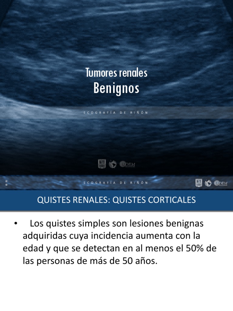 Riñon Normal y Patologico | PDF | Glándula suprarrenal | Glándulas