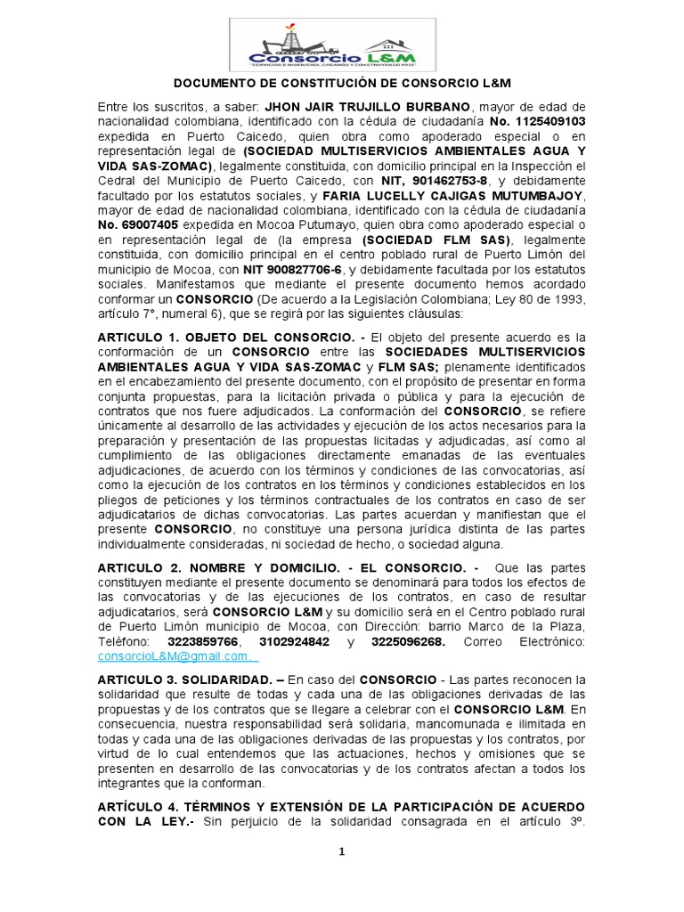 DOCUMENTO CONSTITUCIÓN CONSORCIO | PDF | Justicia | Crimen y violencia