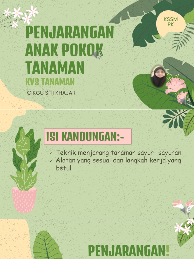 Teknik Penjarangan Tanaman Sayur | PDF