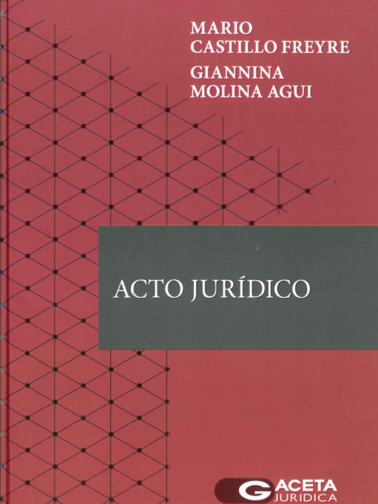 2022 Acto Jurídico Mario Castillo | PDF