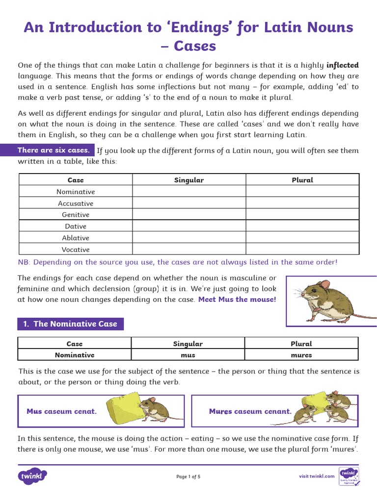 T MFL 262 An Introduction To - Endings - For Latin Nouns - Cases | PDF ...