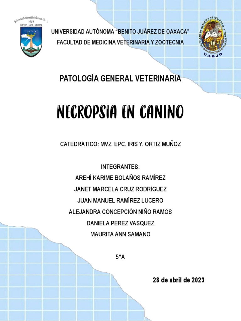 Necropsia Canino | PDF