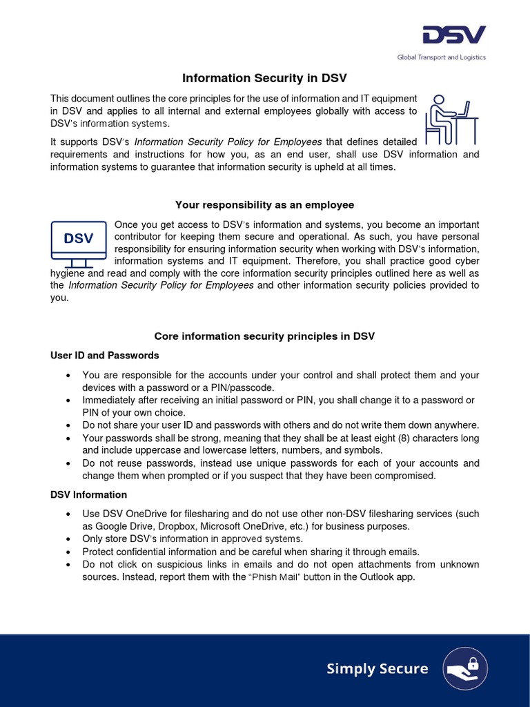 Information Security in DSV (en-UK) | PDF | Security | Computer Security
