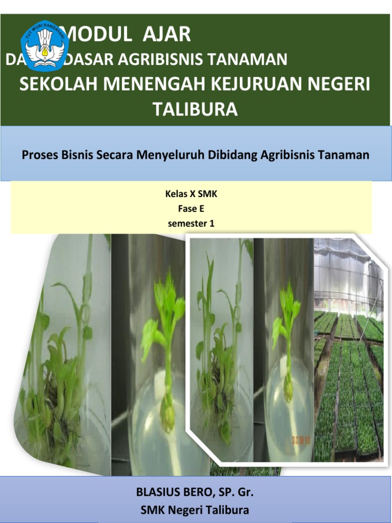 Modul Ajar Mapel Dasar Agribisnis Tanaman Elemen 1 | PDF
