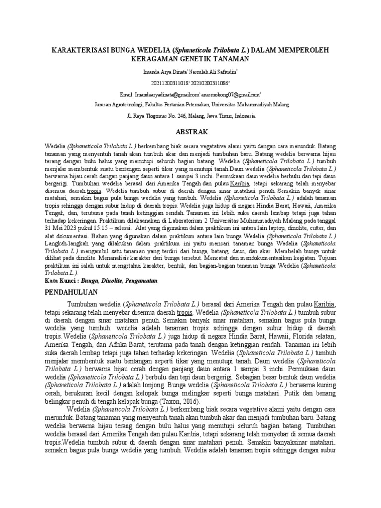 Imanda Arya Dinata 018, Nasrullah Alin Safruddin 086 | PDF | Griya & Taman