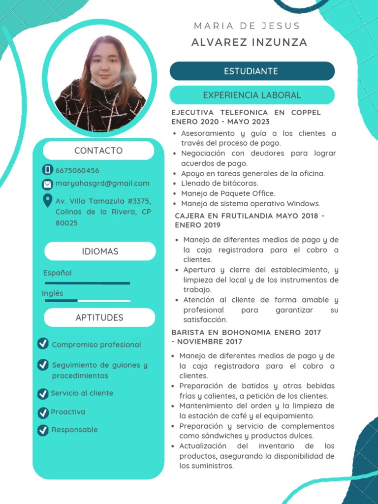 Perfil Profesional de María Álvarez | PDF