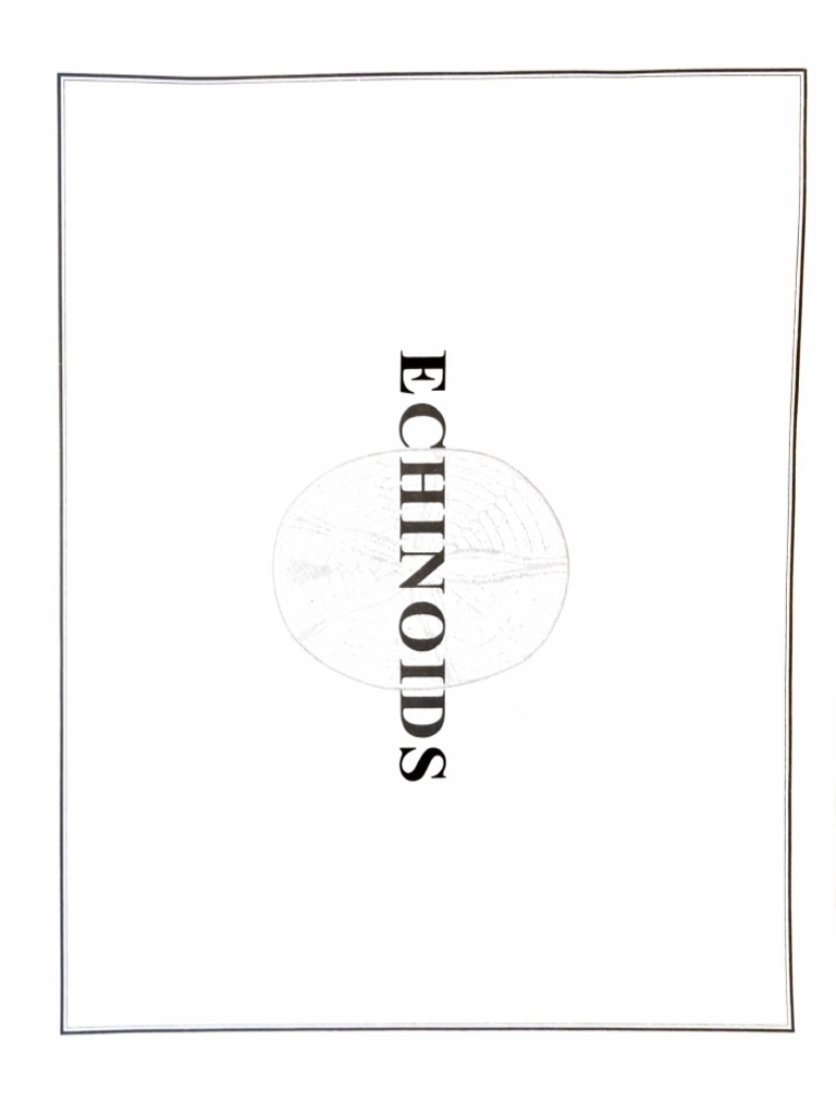Echinoids And Crinoids Pdf
