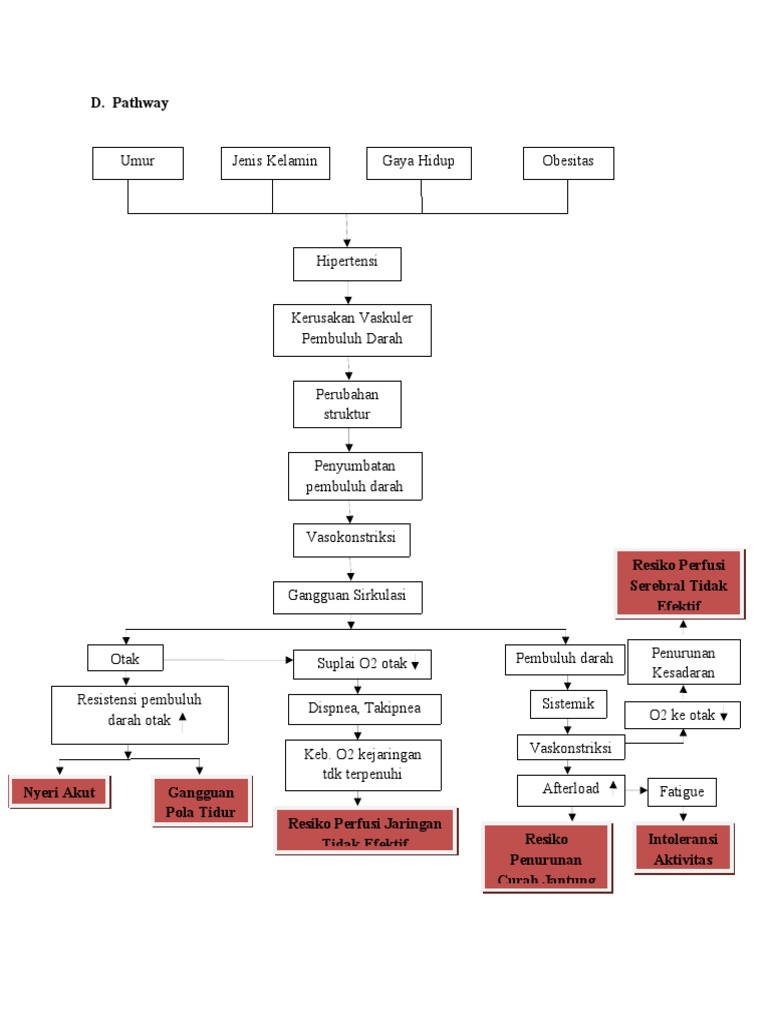 Pathway Hipertensi Lansia | PDF
