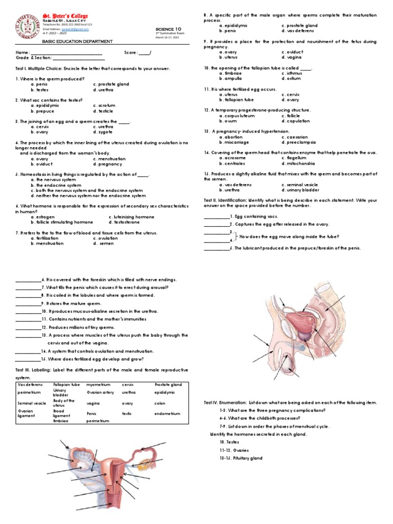 Science 10 | PDF | Ovary | Menstrual Cycle