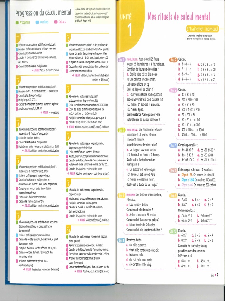 Cap Maths CM2 U01 | PDF