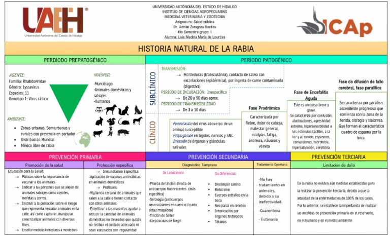Historia Natural de La Rabia | PDF