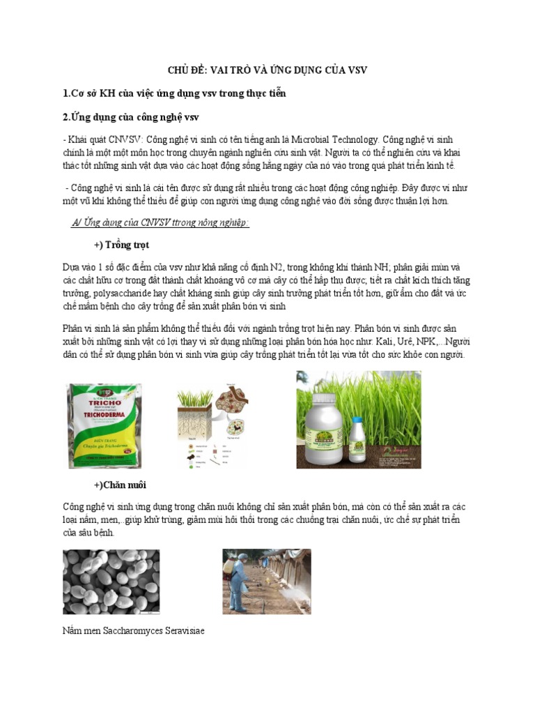 1.cơ Sở KH Của Việc Ứng Dụng VSV Trong Thực Tiễn 2.ứng Dụng Của Công Nghệ VSV | PDF