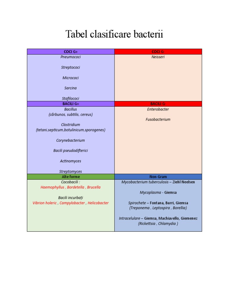 Clasificarea bacteriilor coci și bacili | PDF
