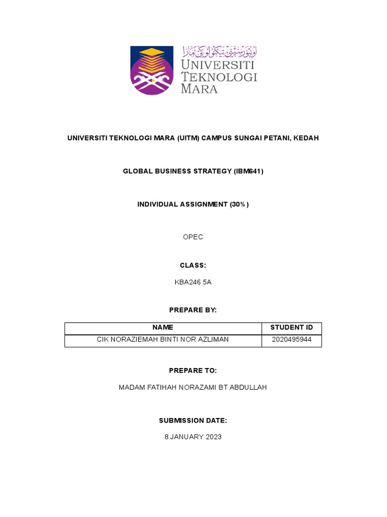 Individual Assignment Ibm641 Pdf Opec Petroleum