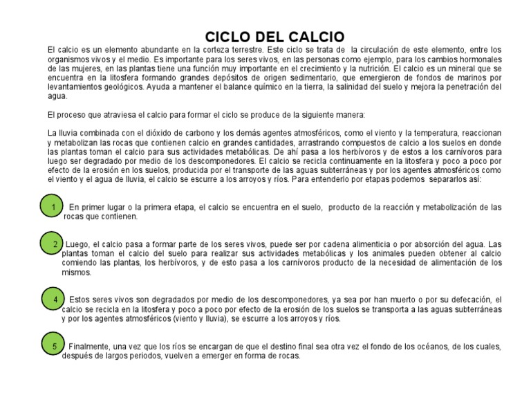 Ciclo Del Calcio | PDF