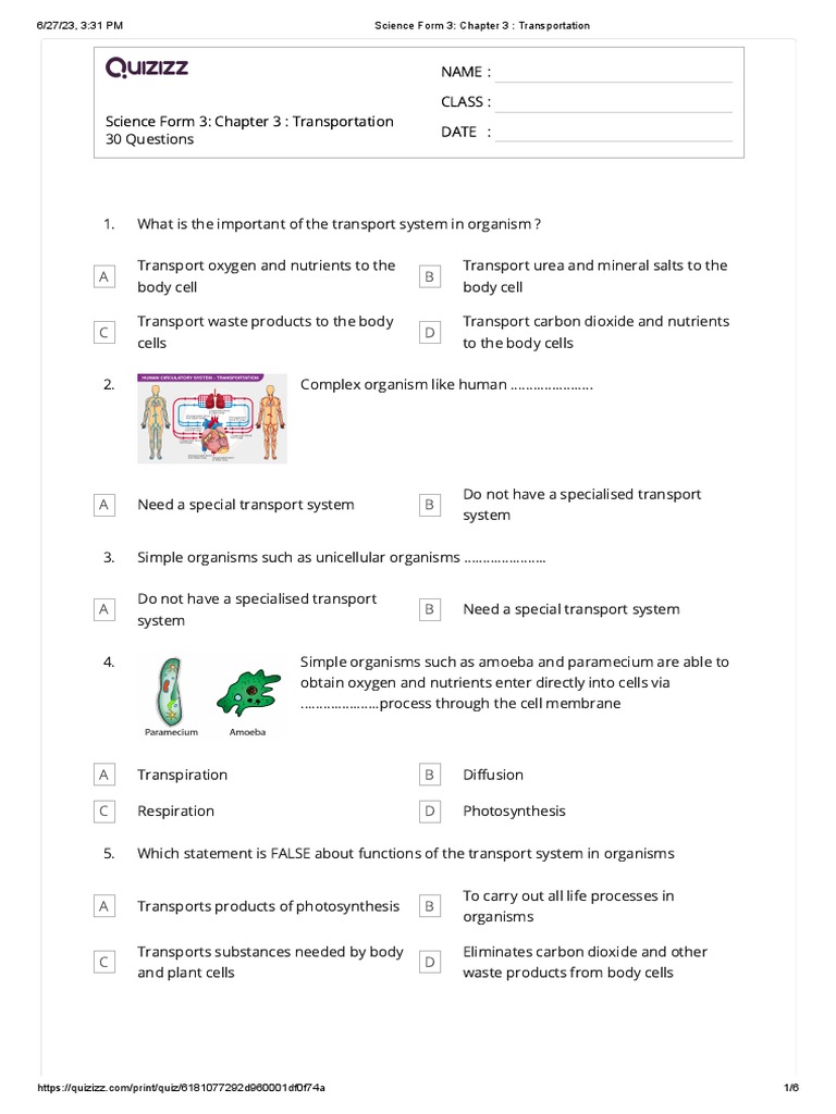 Science Form 3_ Chapter 3 _ Transportation | PDF | Heart | Blood