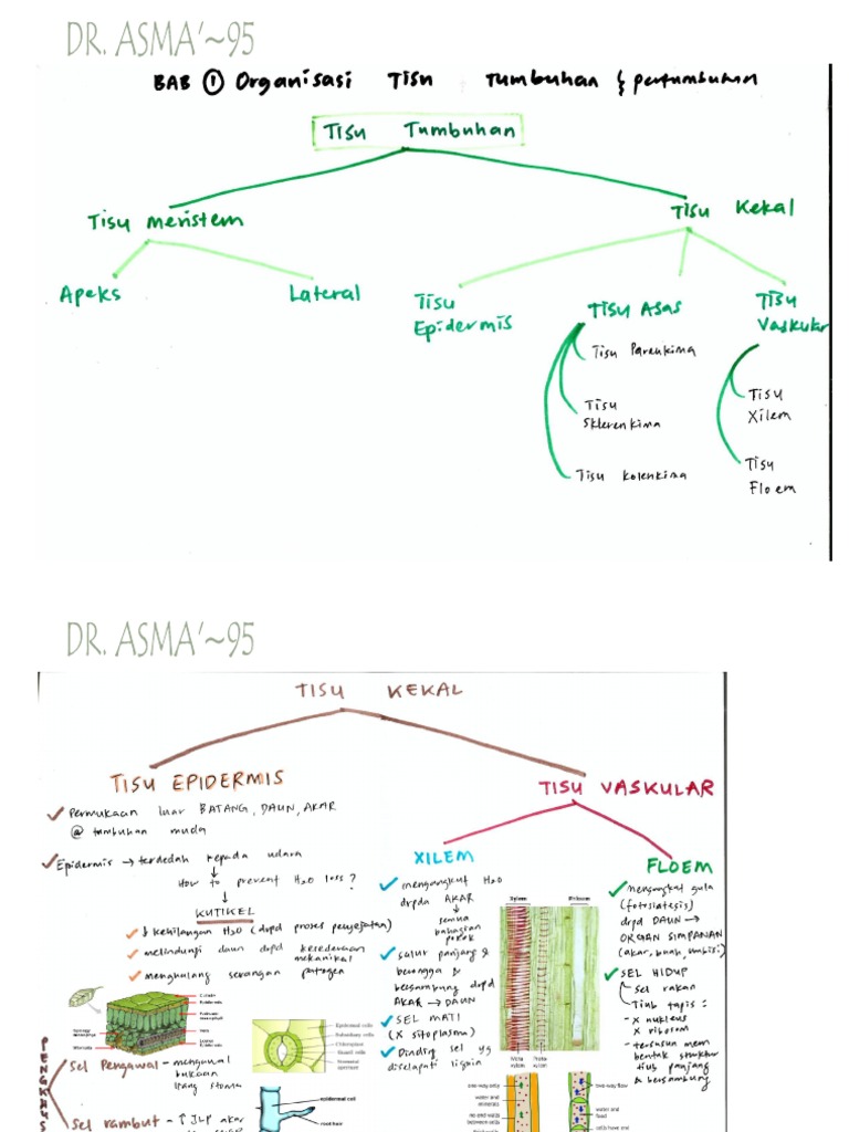 Bio F5 KSSM Bab 1 | PDF