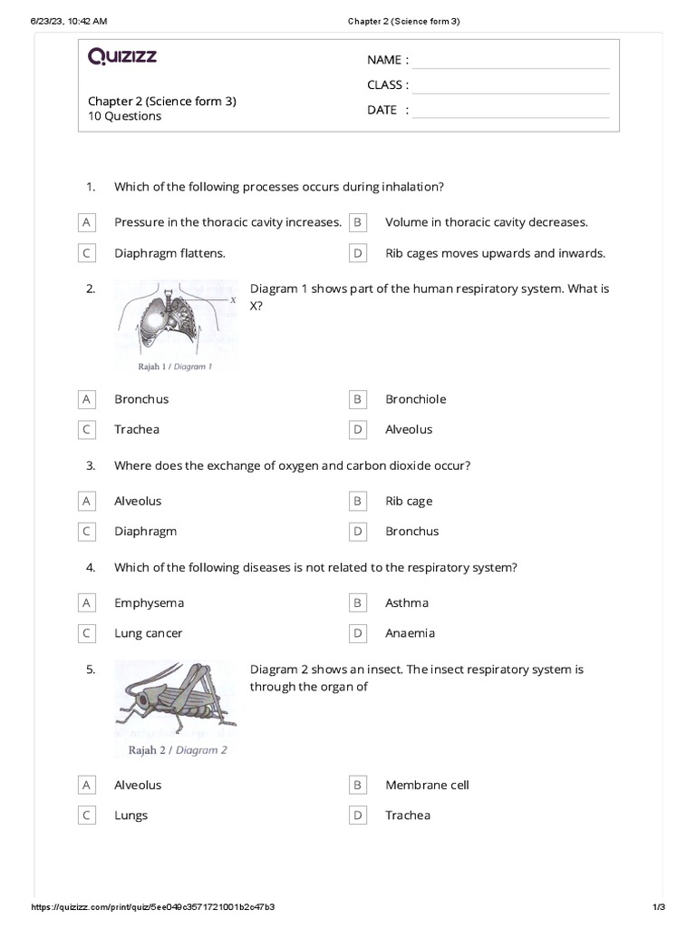 Chapter 2 (Science Form 3) | PDF | Respiratory System | Lung