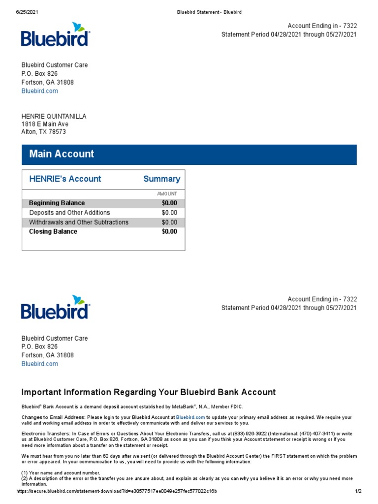 Bluebird Statement - Bluebird | PDF