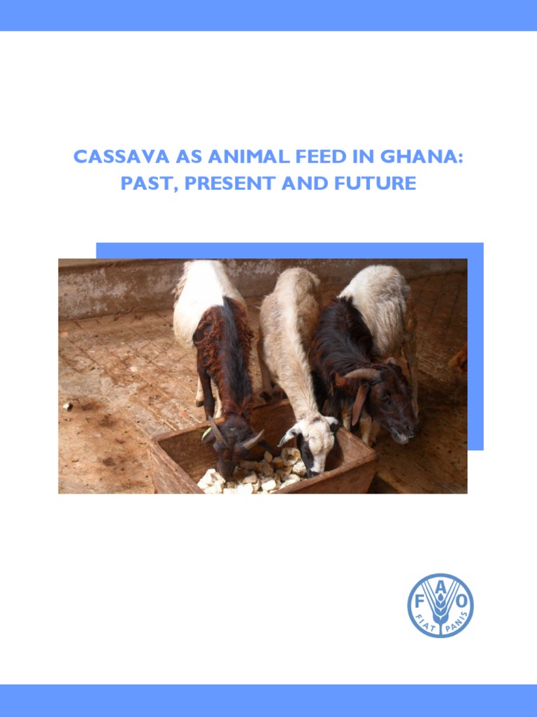 Cassava As Animal Feed in Ghana | PDF | Agriculture | Livestock