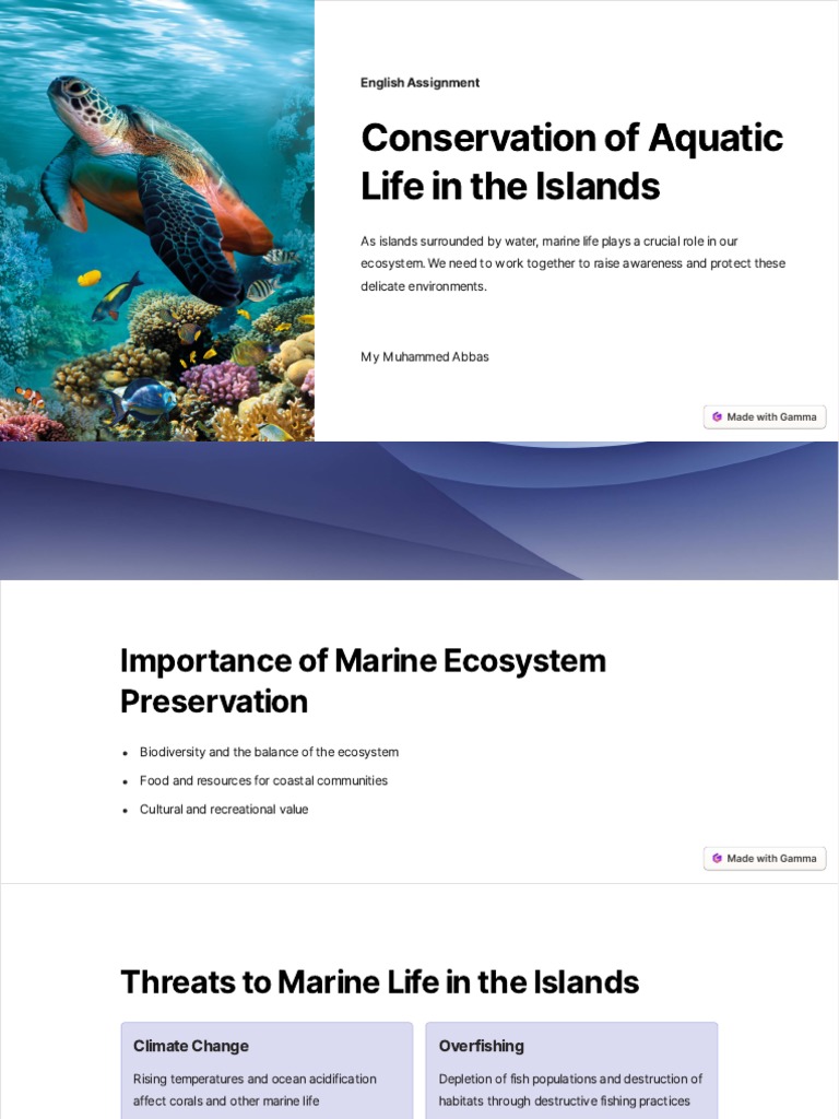 English Assignment | Download Free PDF | Conservation Biology | Oceans