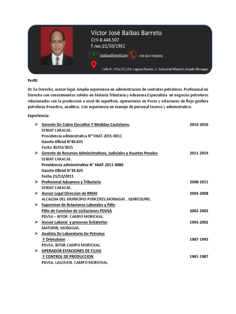 CV Victor | PDF | Tecnología