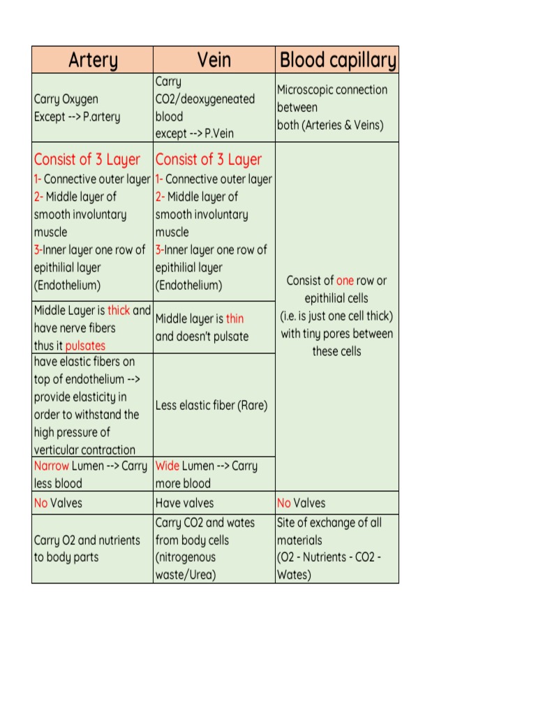 Blod Vessels Comparison | PDF
