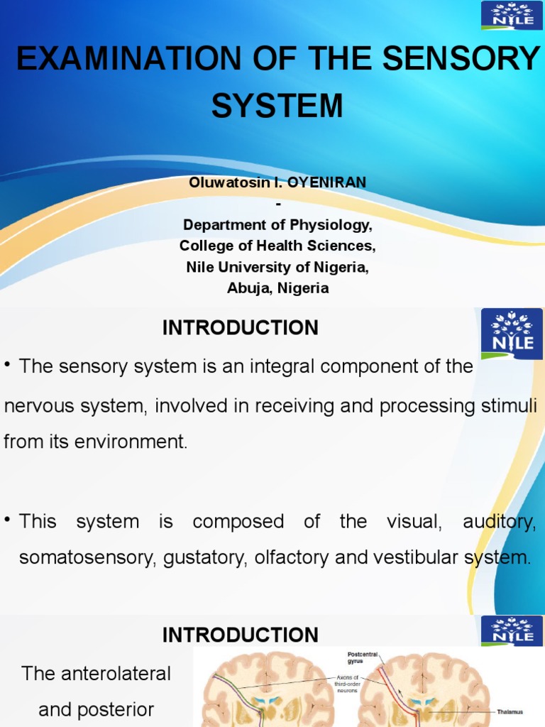 Examination of Sensory System 300L MBBS | PDF | Somatosensory System ...