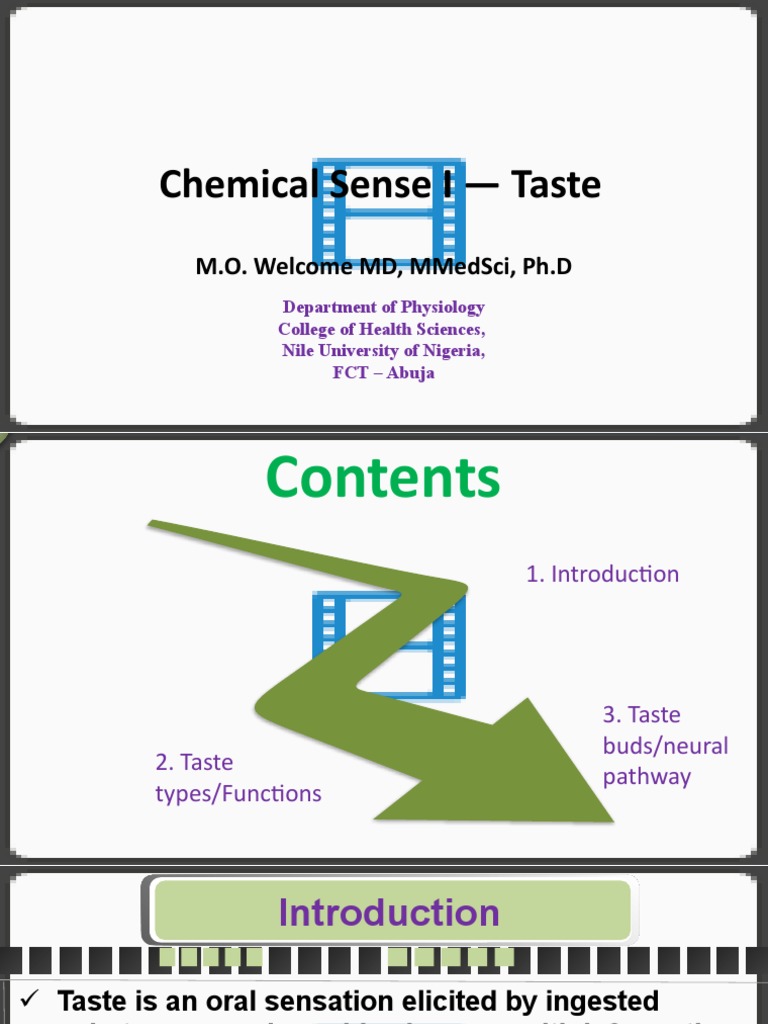 Chemical Sense - Taste | PDF | Taste | Umami